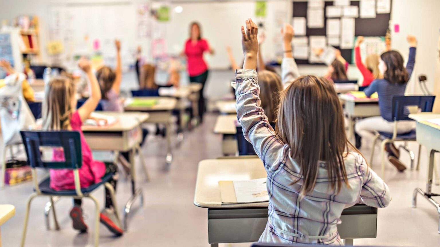 Wilson Reading Progams for Schools - Stern Center for Language and Learning