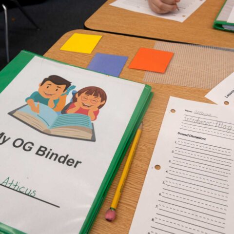 Courses & Workshops for Teachers - Stern Center for Language and Learning